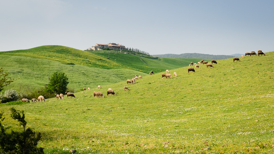 Jeff Mesnil — Weblog